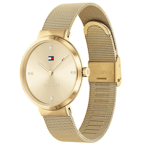Tommy Hilfiger Watches Egypt | Authorized Dealer GC Stores – GC Shop Egypt